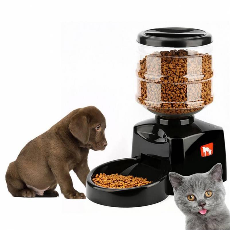 Automatic Pet Feeder with Voice Message Recording and LCD Screen